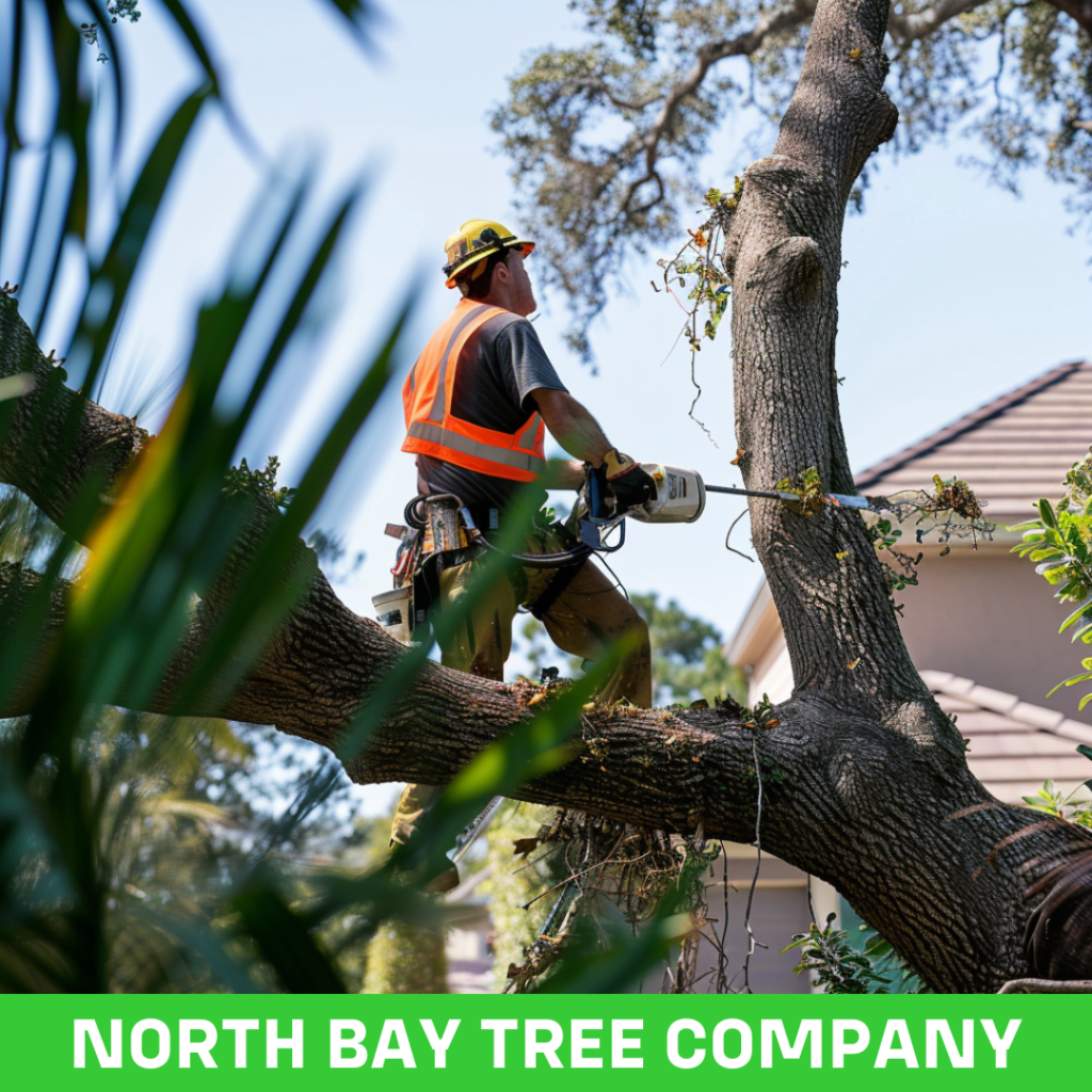 Tree Planting and Landscaping - North Bay Tree Company